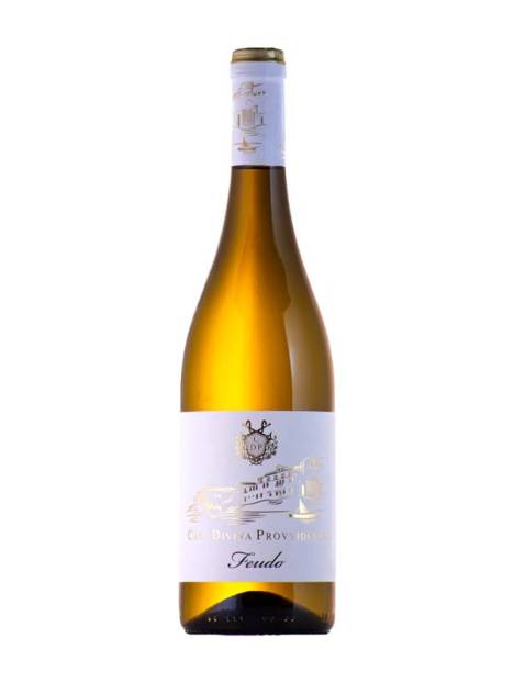 Casa Divina Provvidenza Feudo Malvasia Lazio Bianco PGI | Fresh and ...