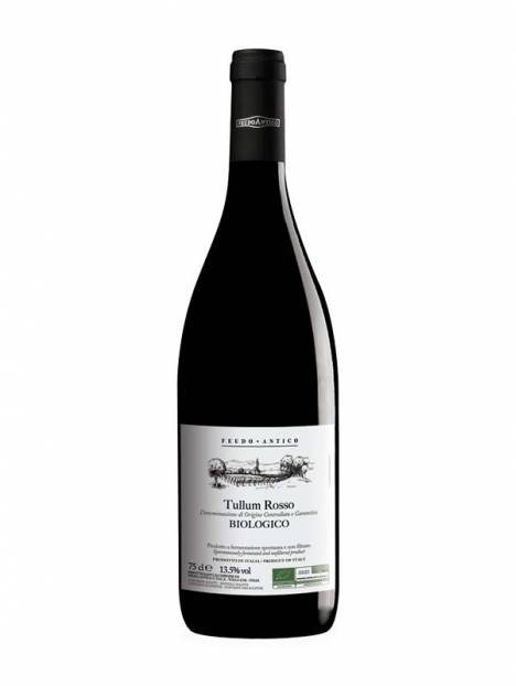 Vente de Pecorino Tullum DOCG Feudo Antico